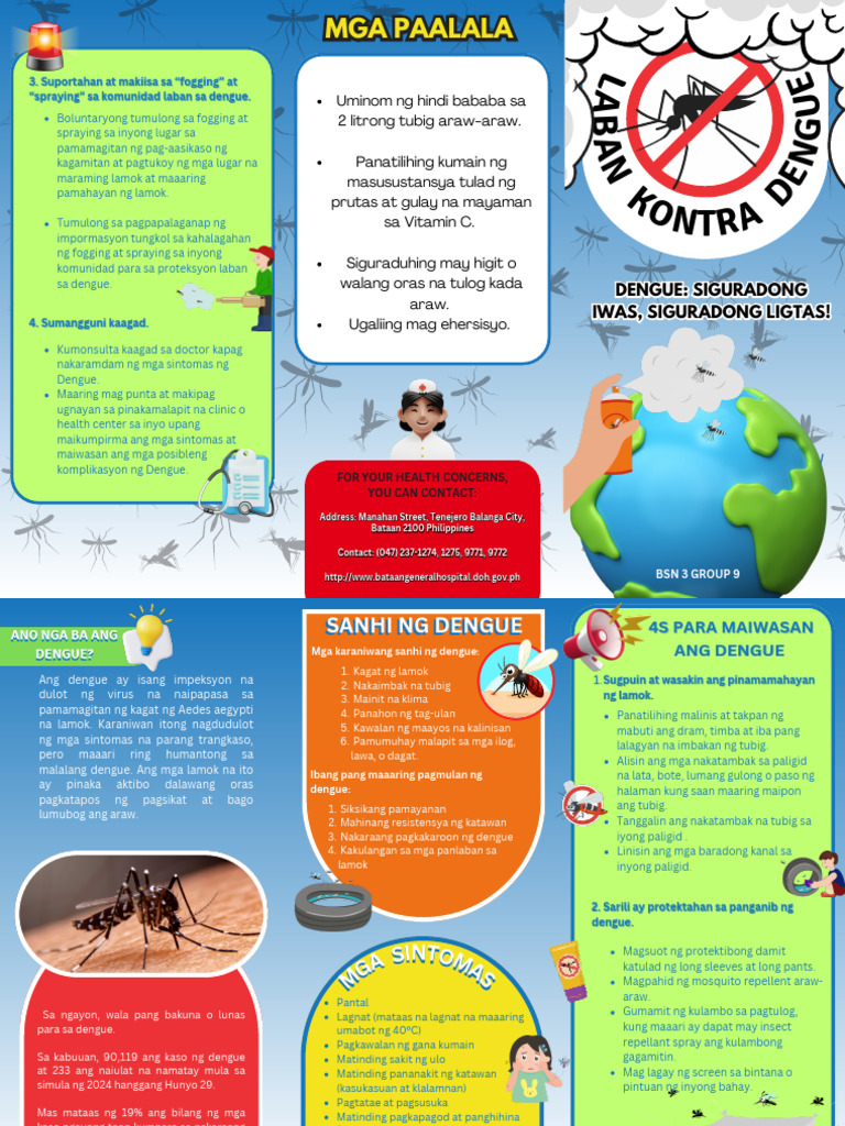 Dengue Brochure 1 | PDF