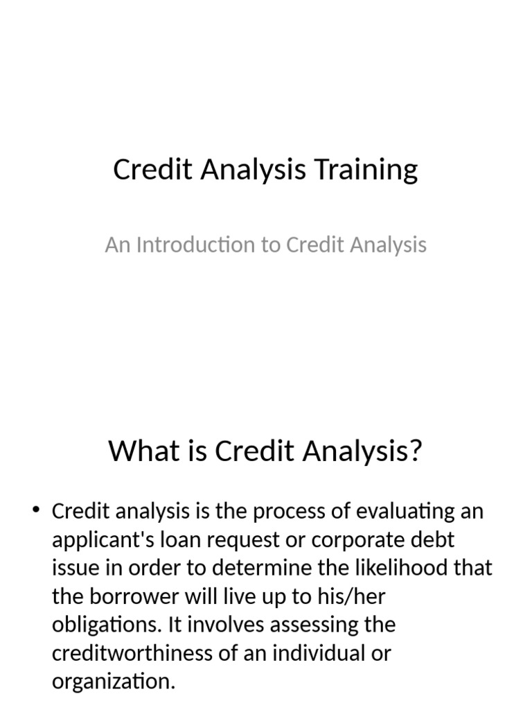 Credit Analysis Training | PDF