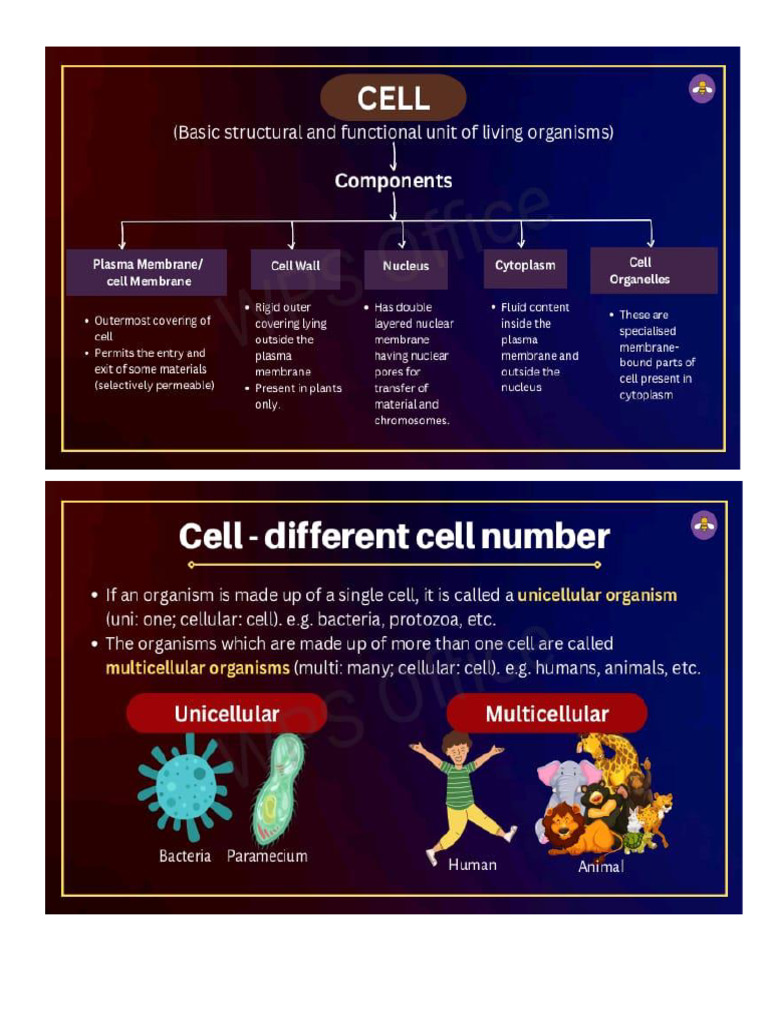 CELL3 | PDF