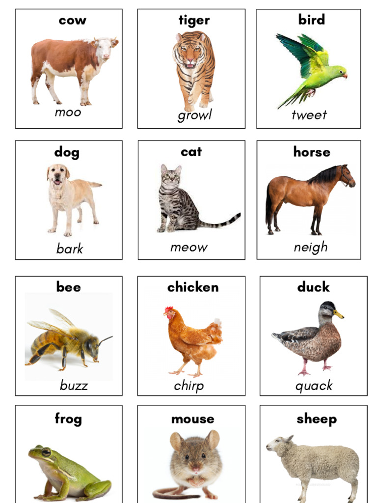 Animal Sounds Flashcards | PDF