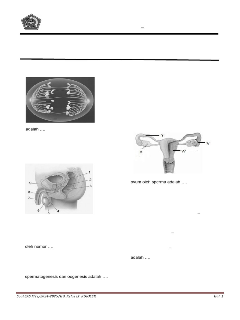 SOAL SAS IPA KELAS 9 Revisi TAPEL 2024-2025 | PDF