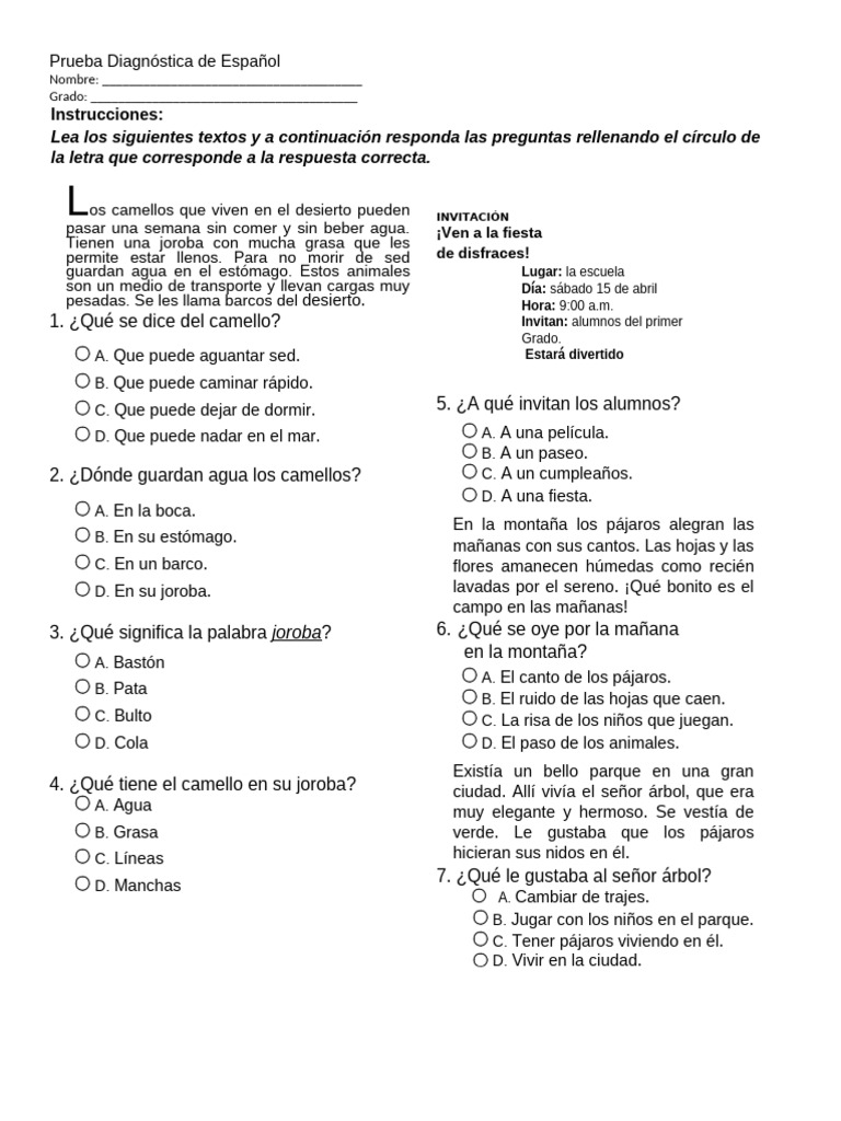 Prueba Diagnóstica de Español | PDF