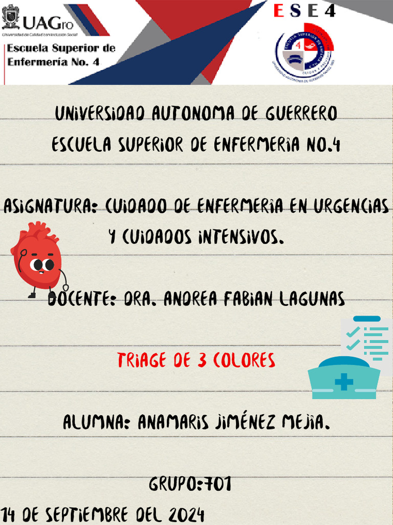 Colores del Triage en Urgencias | PDF