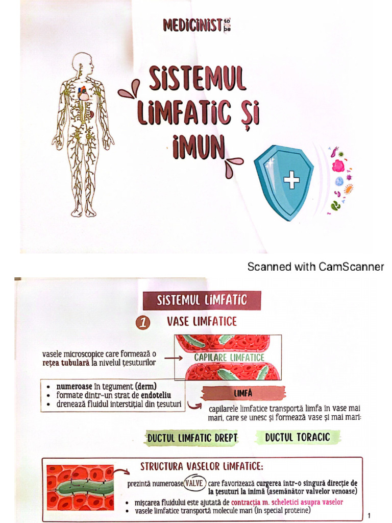 Capitolul 16 - Sistemul Limfatic Si Imun | PDF