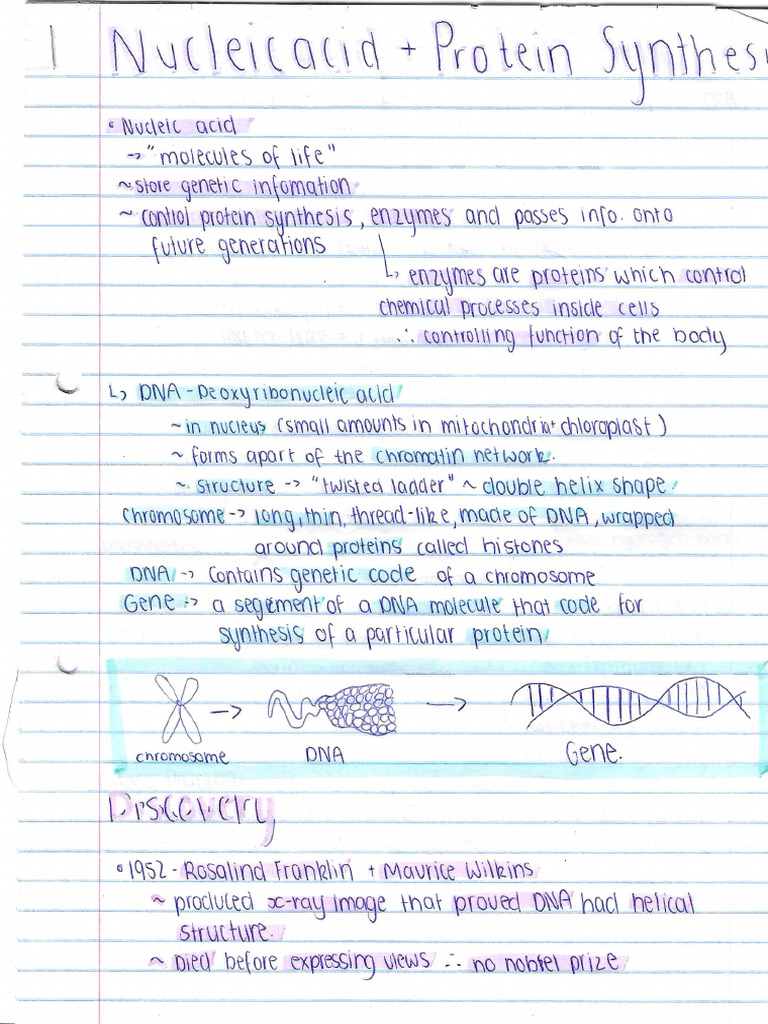 Bio Genetics and Evolution | PDF