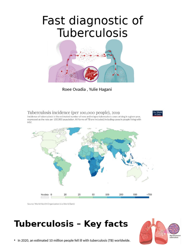 Fast Diagnostic of Tuberculosis | PDF | Tuberculosis | Immunology