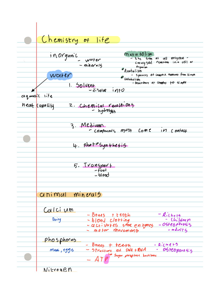 Chemistry of Life | PDF | Carbohydrates | Glucose