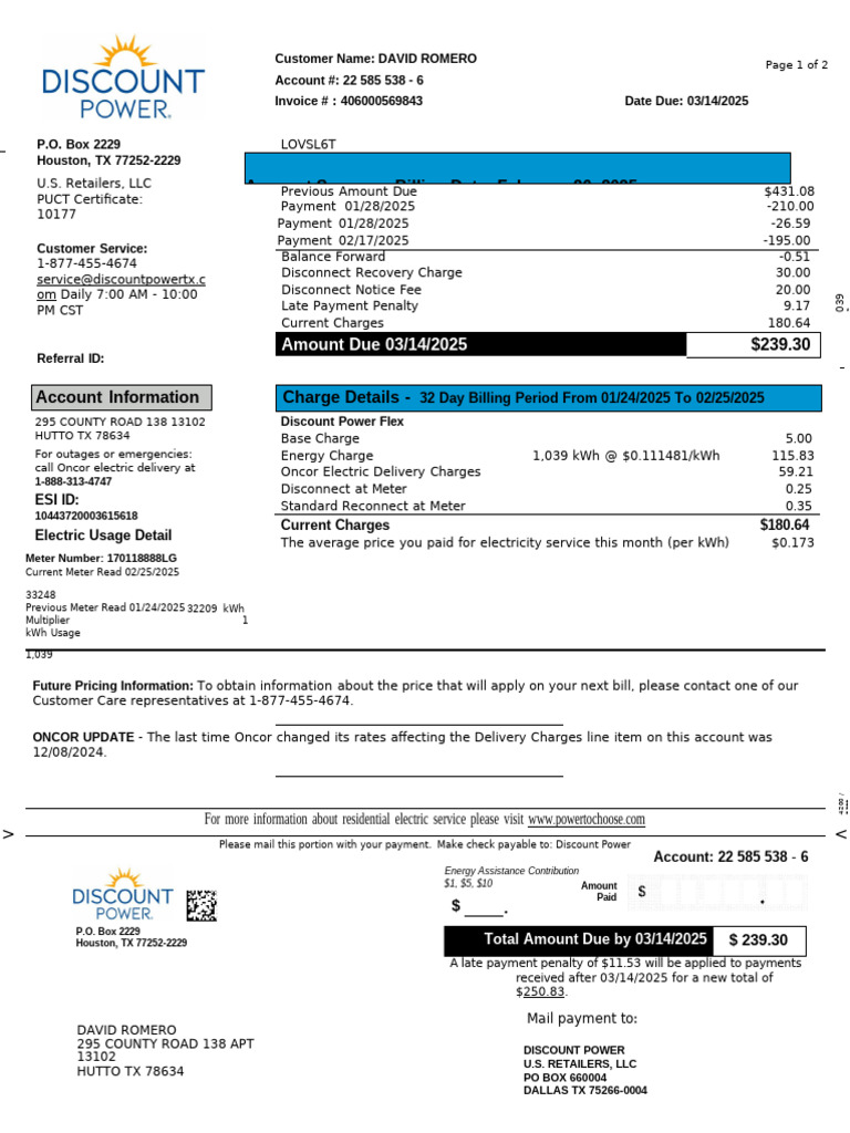 Discount Power Invoice Summary for David Romero | PDF