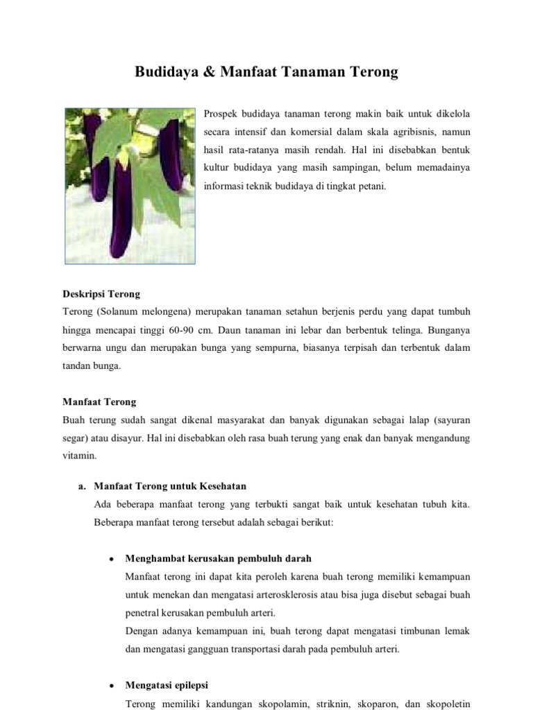 Budidaya Terong | PDF