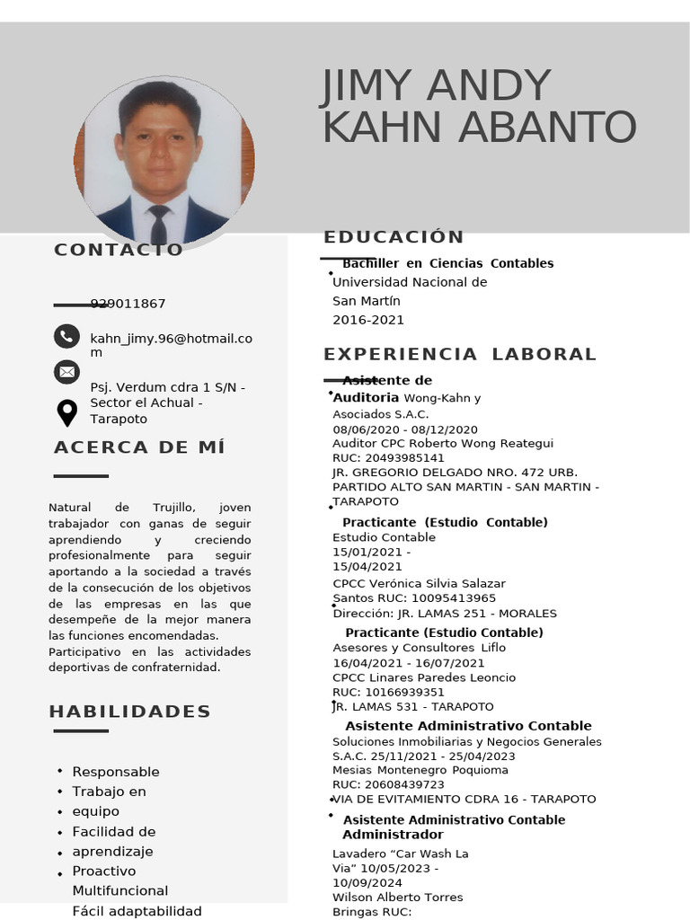 Currículum Vitae CV de Contabilidad Simple Gris | PDF | Contabilidad | Servicios financieros