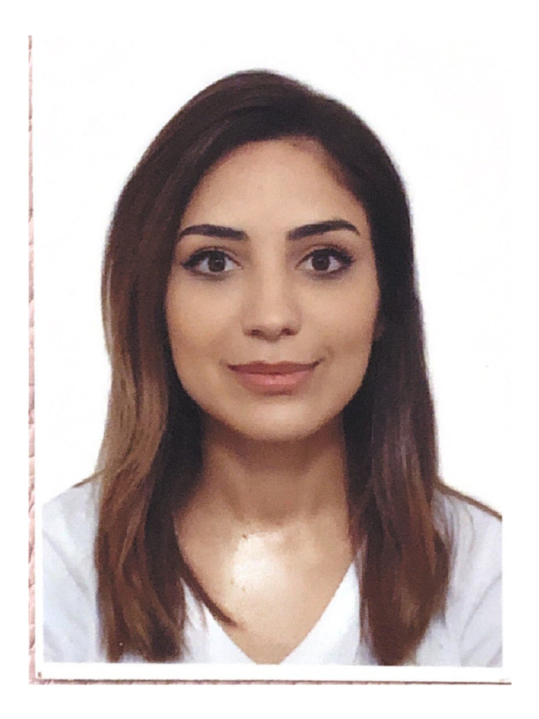 Sub 120 Passport Inbound3133562990643186701 | PDF