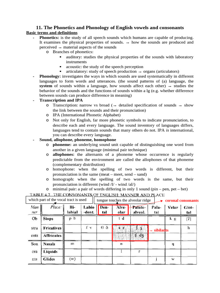 The Phonetics and Phonology of English Vowels and Consonants | PDF | Phoneme | Phonetics