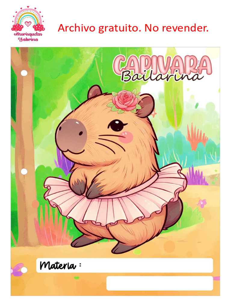 SEPARADORES Capy | PDF