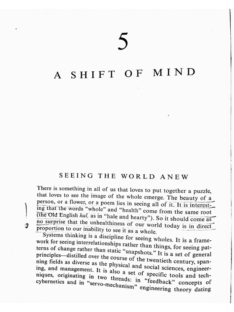 Senge P M 2006 The Fifth Discipline The | PDF