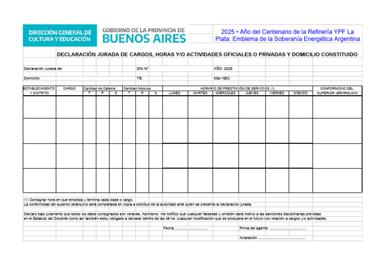DDJJ 2025 Modelo Excel | PDF