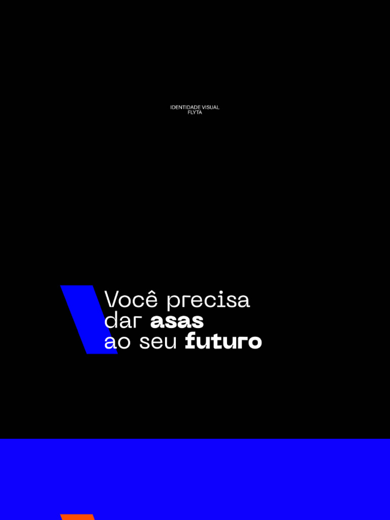 Apresentação Flyta | PDF