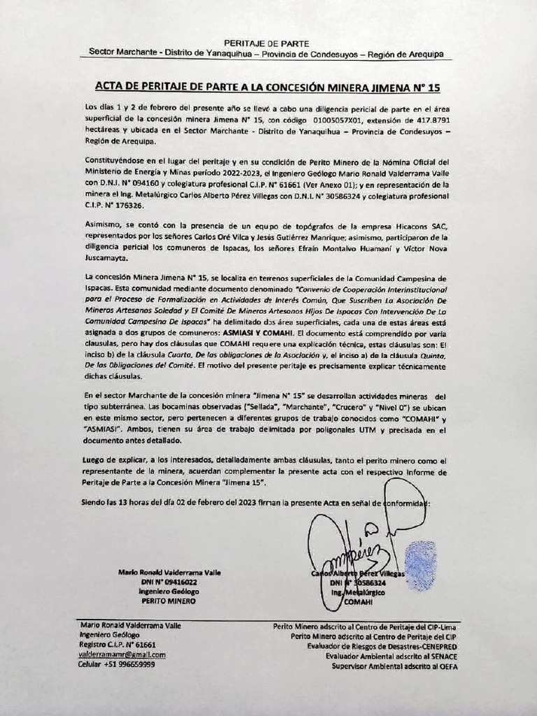 Acta de Peritaje | PDF