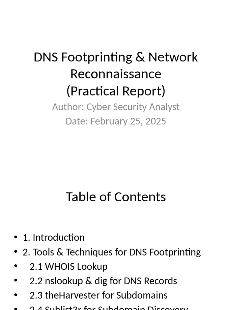 DNS Footprinting Report | PDF