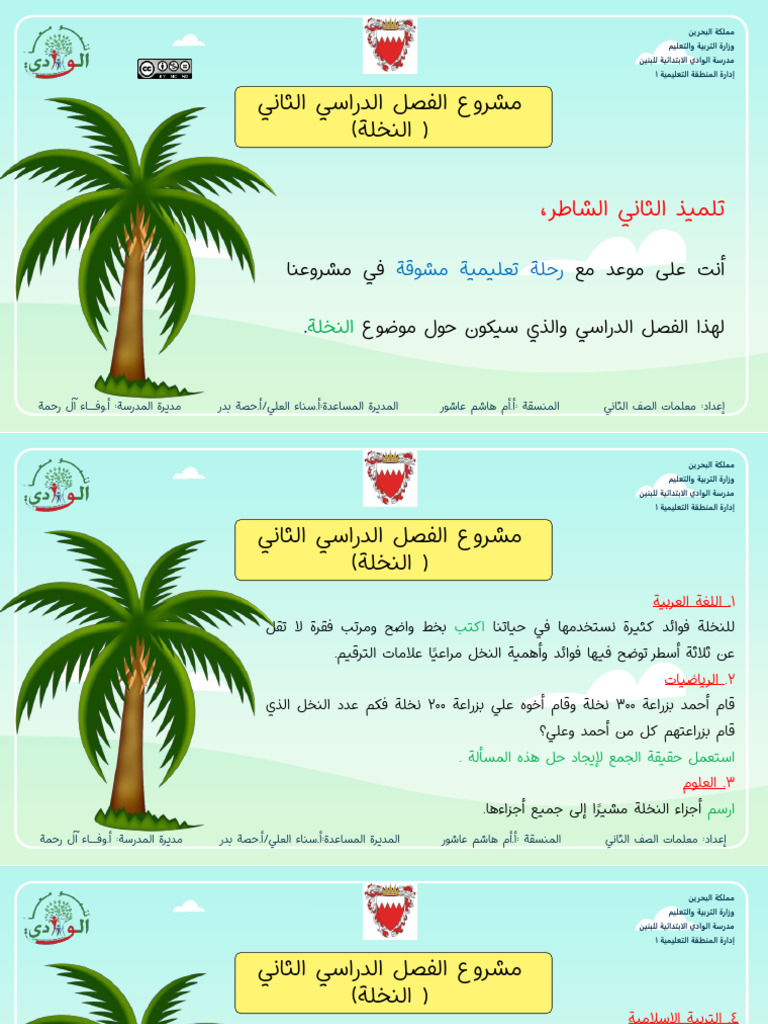 The Palm Project | PDF
