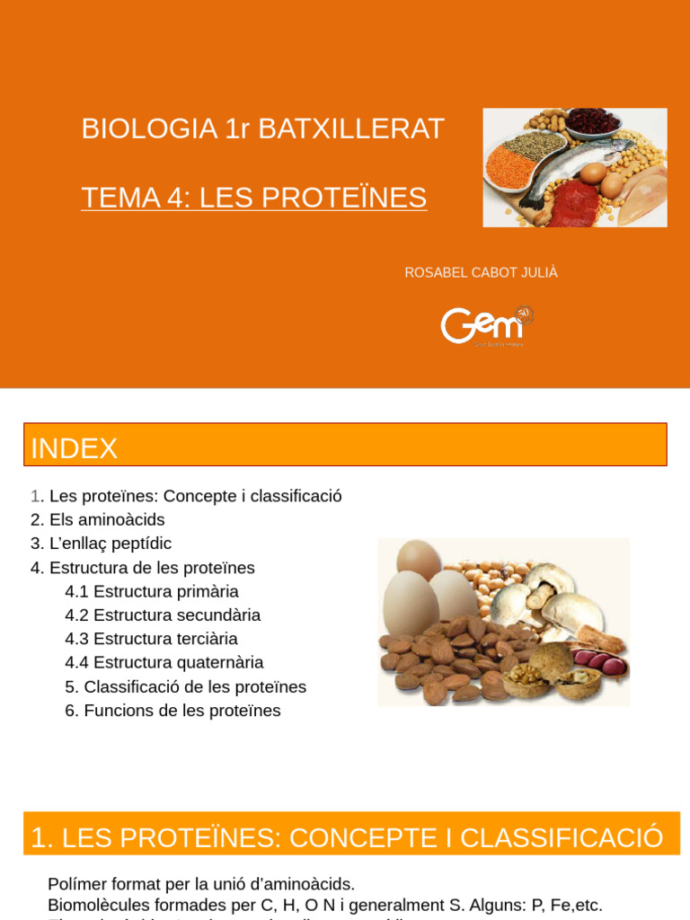 Bio1 Tema 4 Proteã Nes | PDF