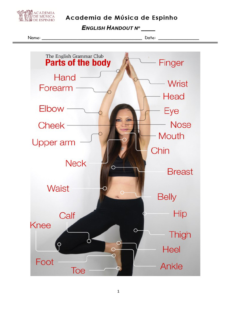 Body Parts - Picture Dictionary | PDF