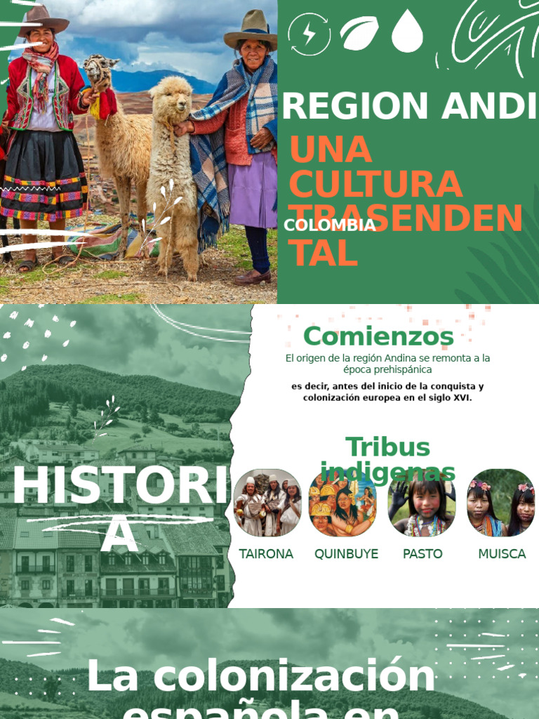 Region Andina | PDF