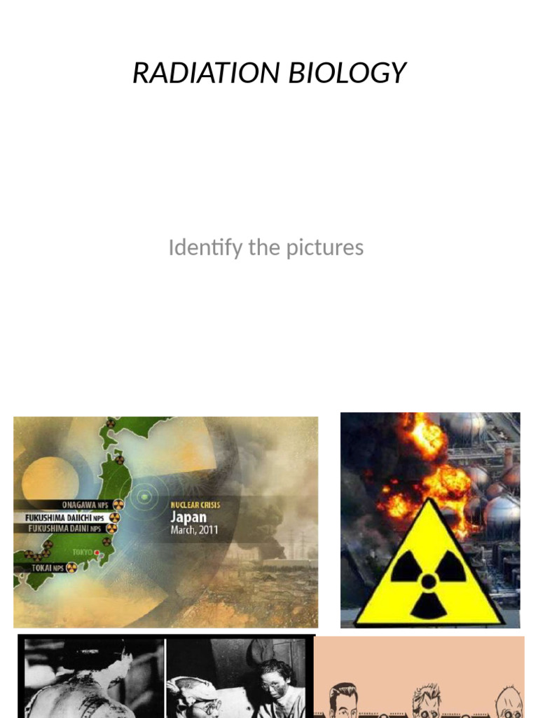 Imageology Activity For Rad - Biology | PDF