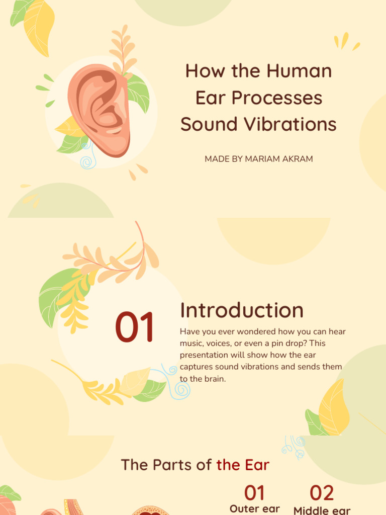 How the Ear Processes Sound | PDF