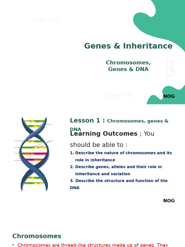 Year 9 Genes and Inheritance Slide 1 | PDF | Gene | Dna