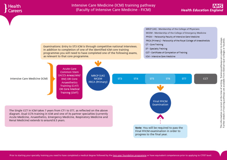 Updated Intensive Care Medicine - Training Pathway | PDF | Medicine ...