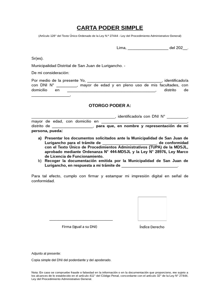 Modelo Carta Poder Simple | PDF