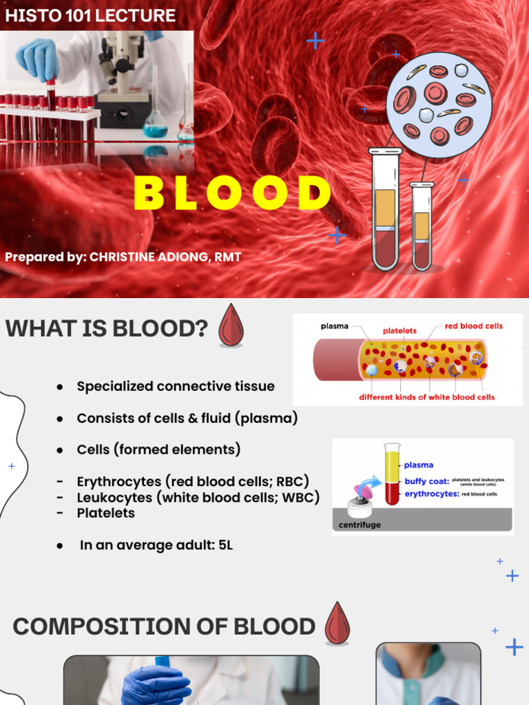 Lesson 08 Blood | PDF