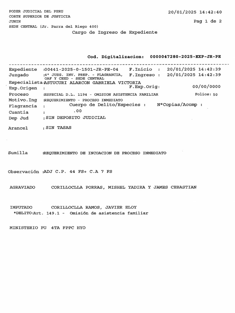 Exp. 00441-2025-0-1501-JR-PE-04 - Anexo - 48192-2025 | PDF