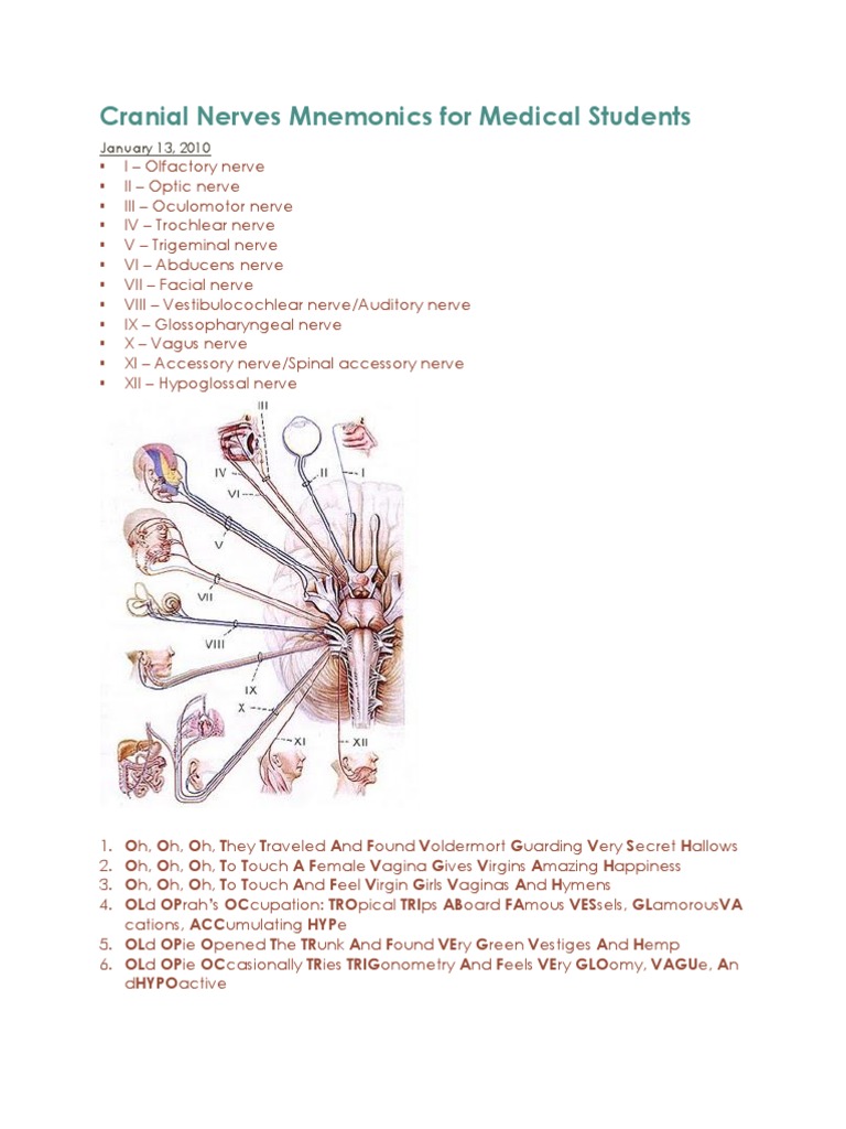 Cranial Nerves Mnemonics For Medical Students | PDF