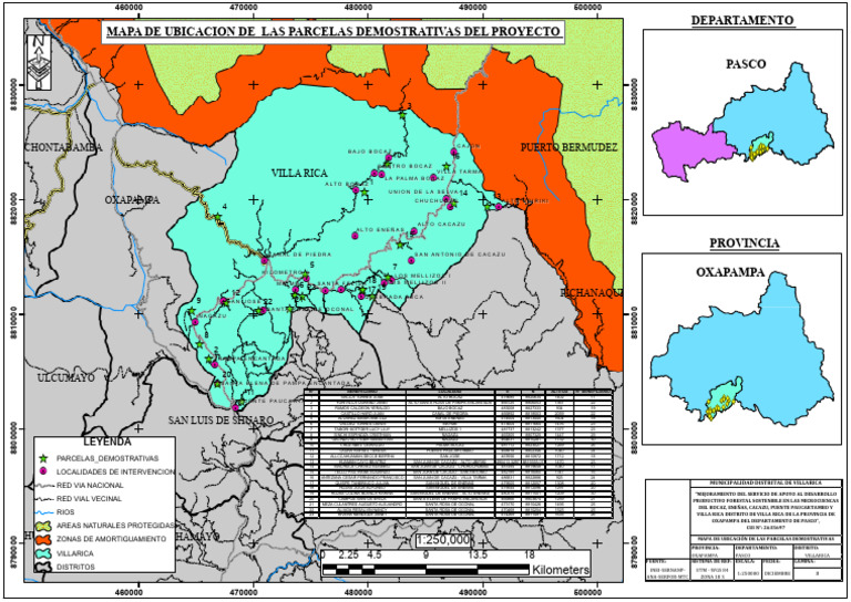 Mapa de Parcelas Demostrativas en Pasco | PDF