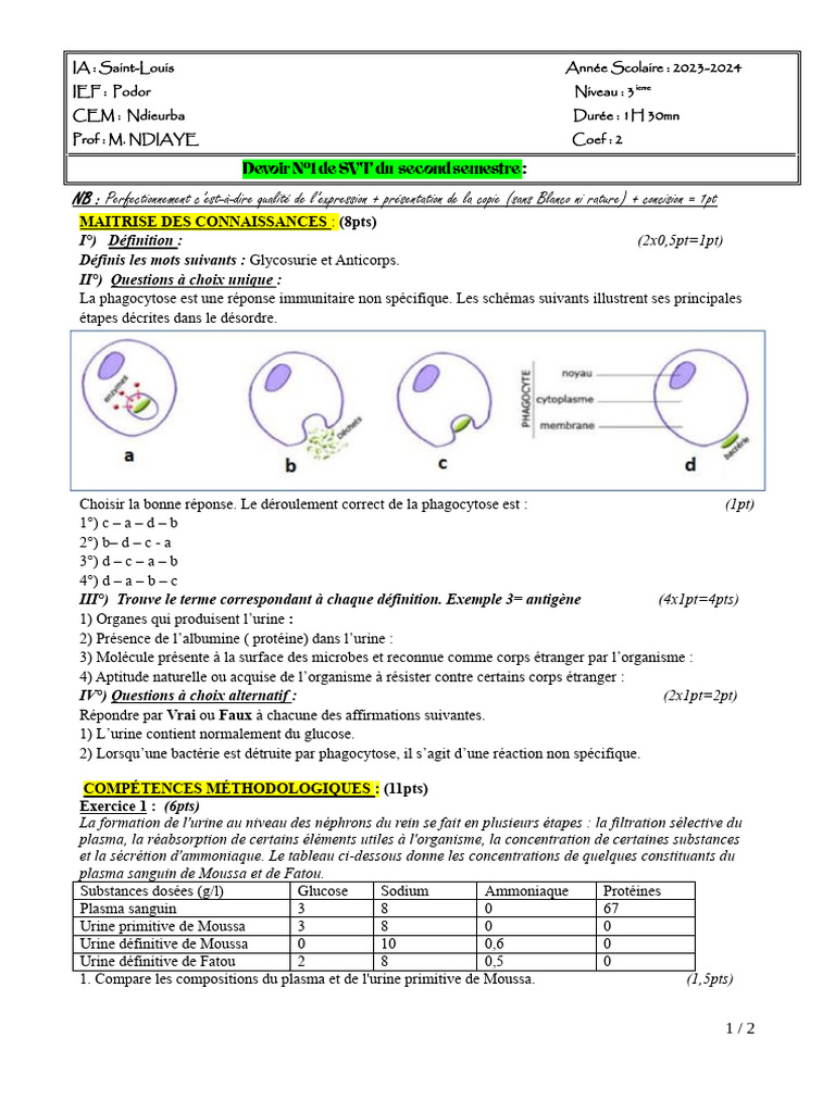 Devoir N°1 2nd Semestre 2023-2024 | PDF | Urine | Antigène