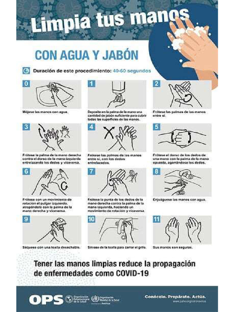 Col Lavado de Manos Grafico 0 | PDF