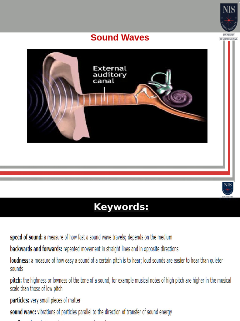 Understanding Sound Waves: Pitch & Loudness | PDF | Sound | Waves