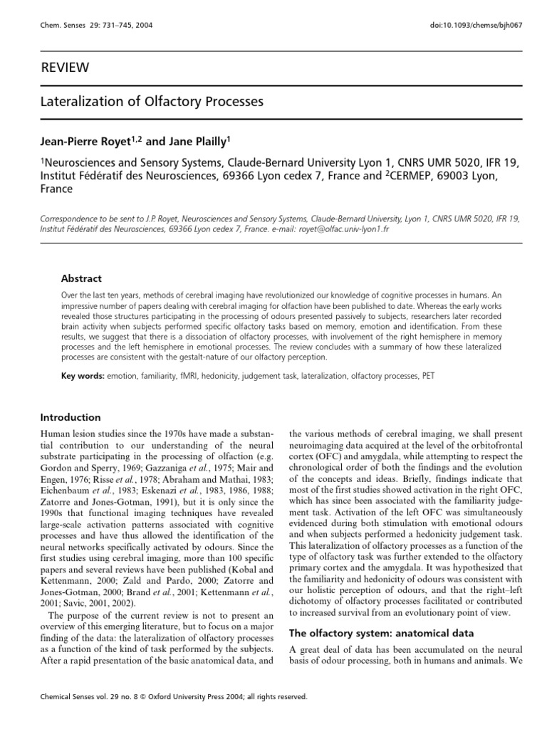Lateralization Olfactory Processes 2004 | PDF | Cerebral Cortex ...