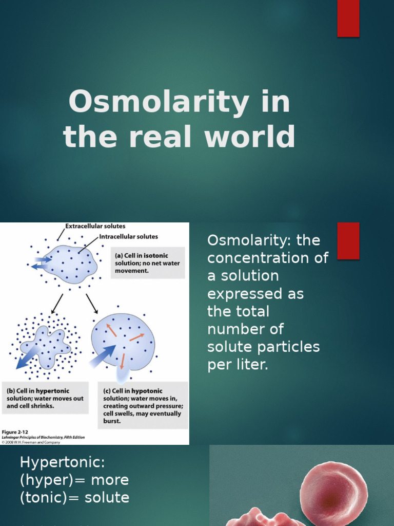 Understanding Osmolarity and Its Effects | PDF
