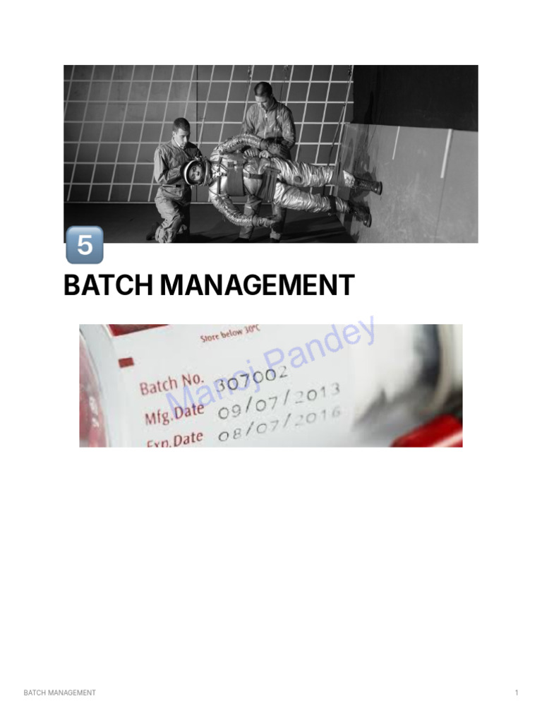 Batch Management in SAP S 4 HANA 1741109080 | PDF | Business