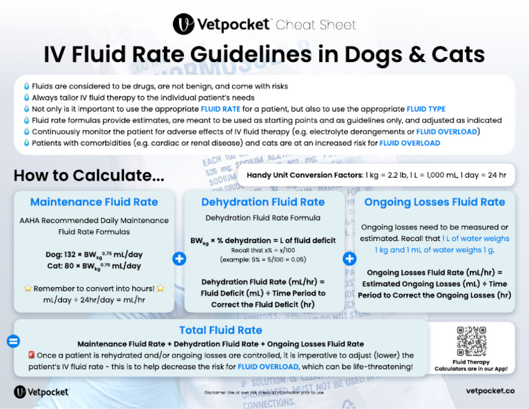 IV Fluid Rate Guidelines in Dogs and Cats Cheat Sheet.01 | PDF ...