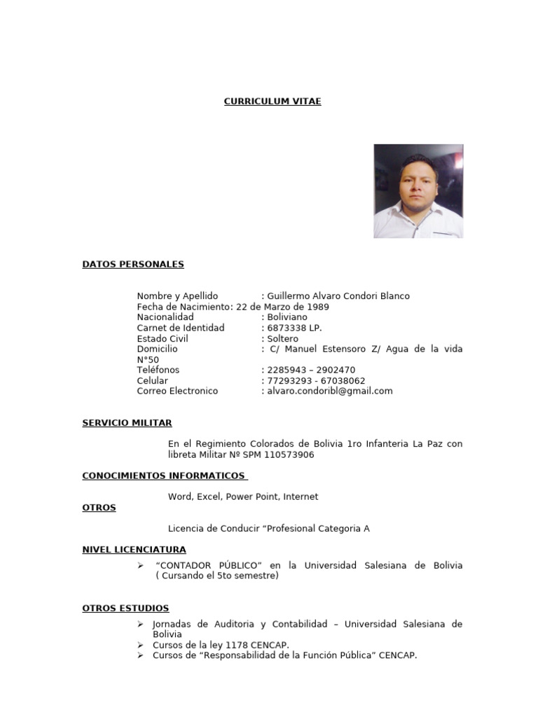 CV Alvaro | PDF | Industrias de servicio | Economias