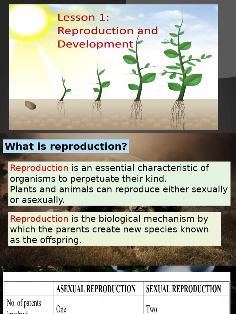 Reproduction and Development | PDF | Reproduction | Sexual Reproduction