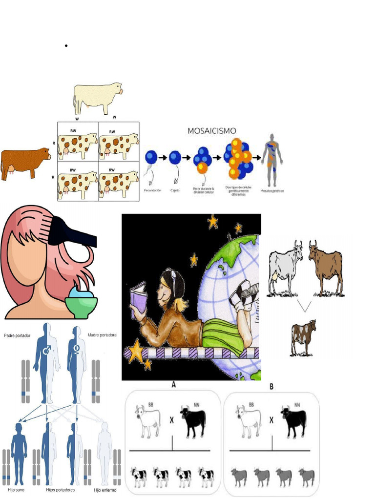 Documento (LLLLL | PDF