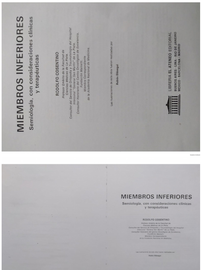 MMII Cosentino | PDF