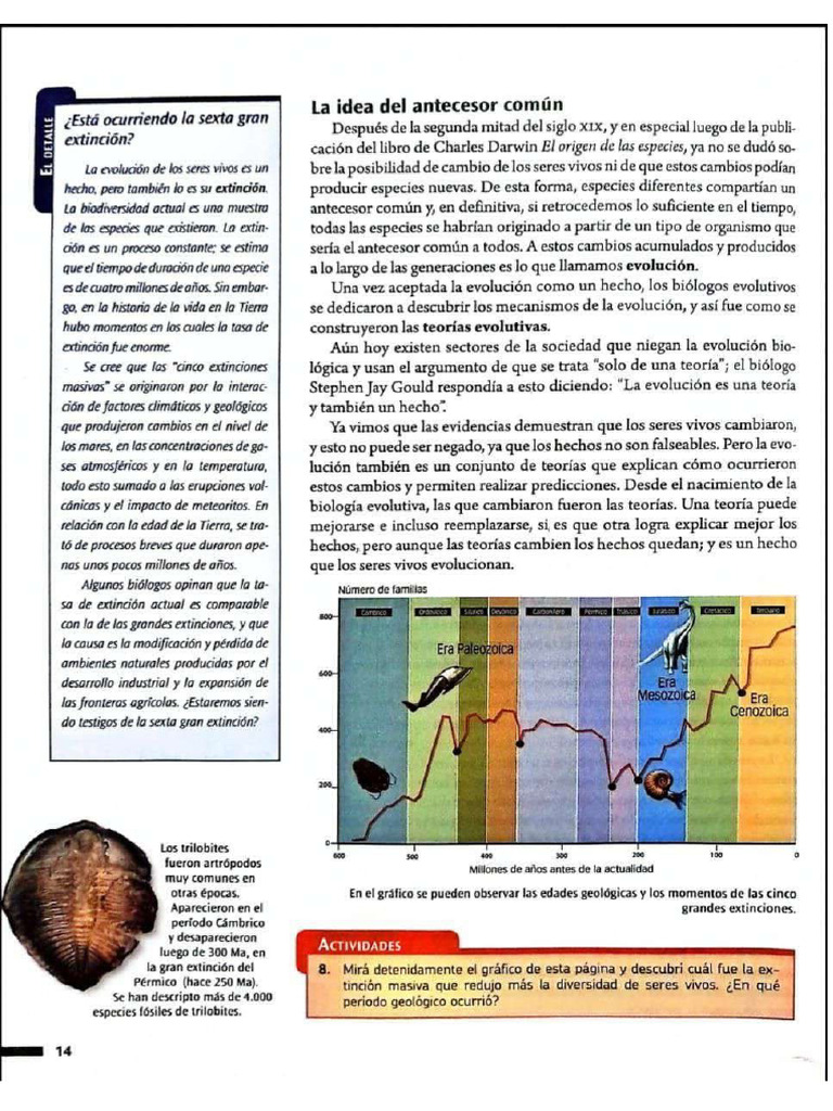 Texto 20 Evoluci C3 B3 N | PDF