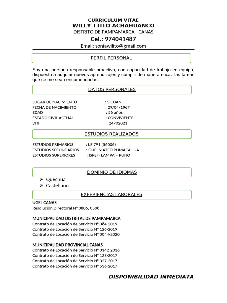 Curriculum Vitae Willy 2 | PDF