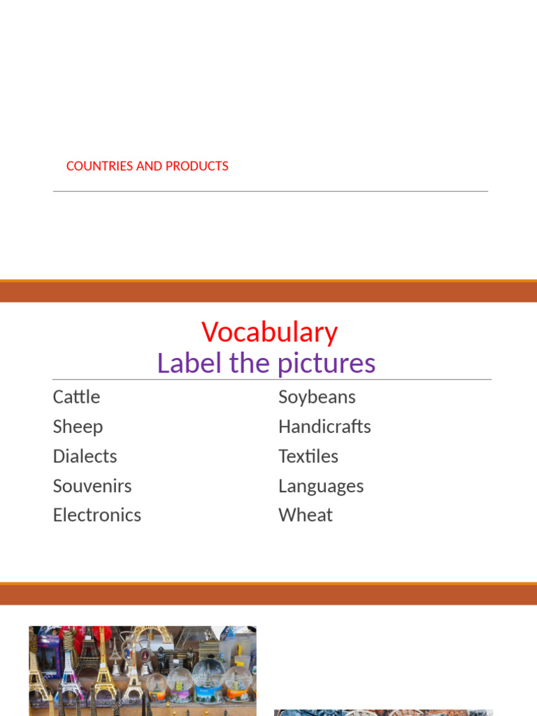 Unit 11 Word Power | PDF