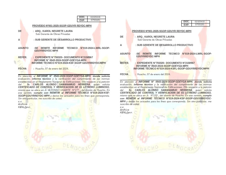 Proveido N°001 - Exp. #755320-2024 - Desarrollo Productivo - Anuncio Publicitario | PDF